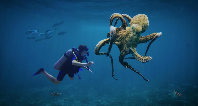 Why Do Octopuses Have Three Hearts and What Does Each One Do? - The ...
